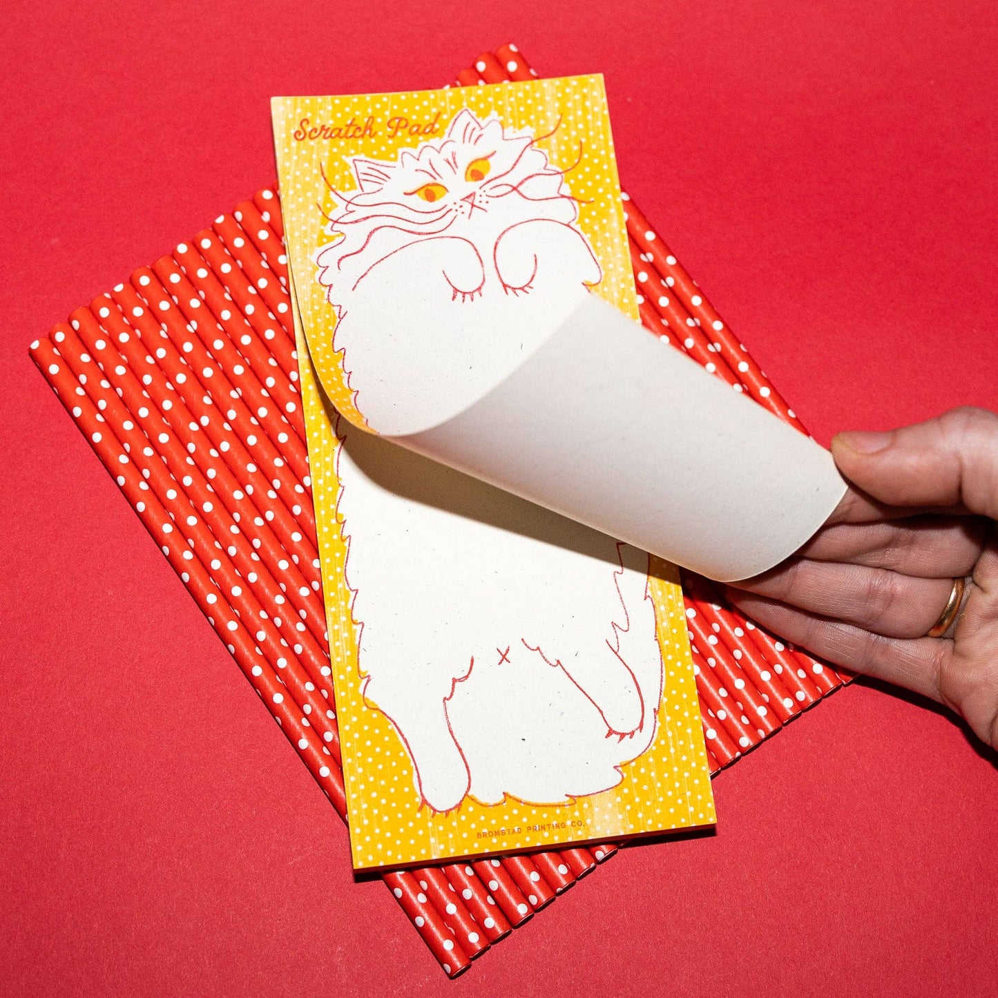 Scratch Pad Cat - Risograph Notepad – Small Batch